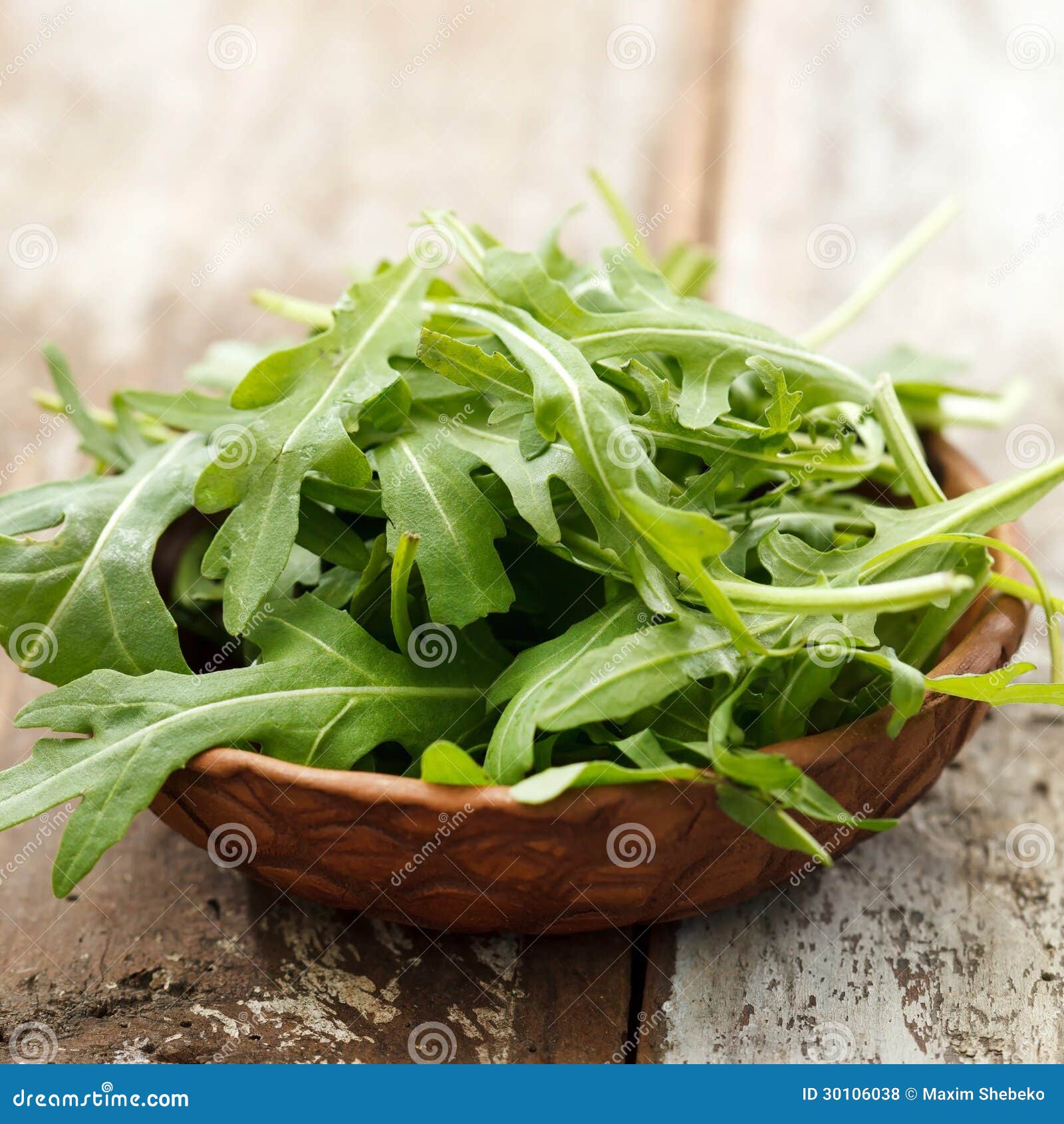 Fresh arugula salad stock photo. Image of ingredient - 30106038