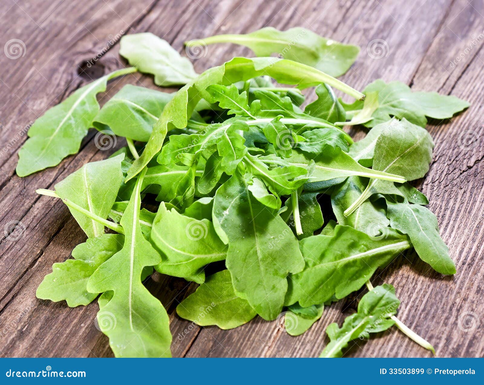 Fresh arugula salad stock image. Image of green, meal - 33503899