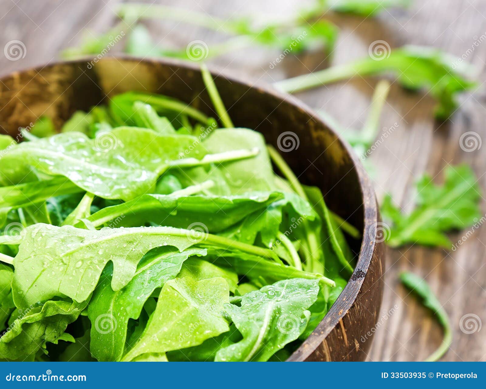 Fresh arugula salad stock image. Image of diet, dish - 33503935