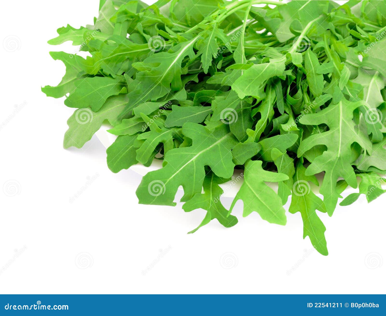Fresh Arugula on a White Background Stock Image - Image of product ...