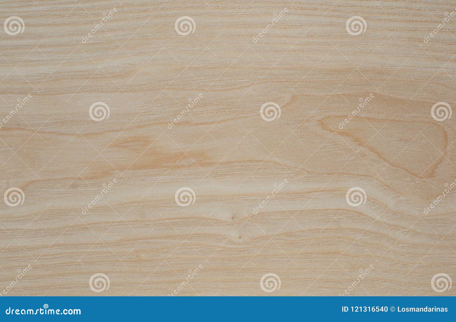 Ash tree wood texture stock photo. Image of plank, close - 121316540 Ash tree wood texture stock photo. Image of plank, close - 121316540