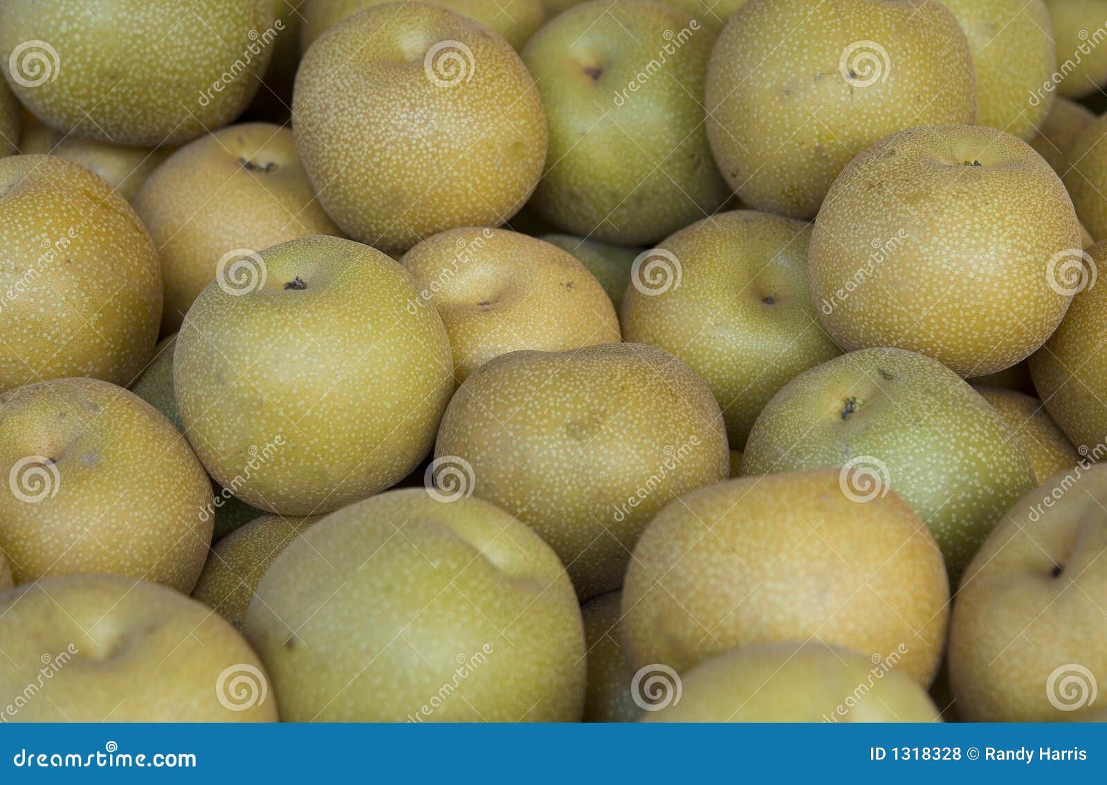 Fresh Asian Pears stock photo. Image of public, asian - 1318328
