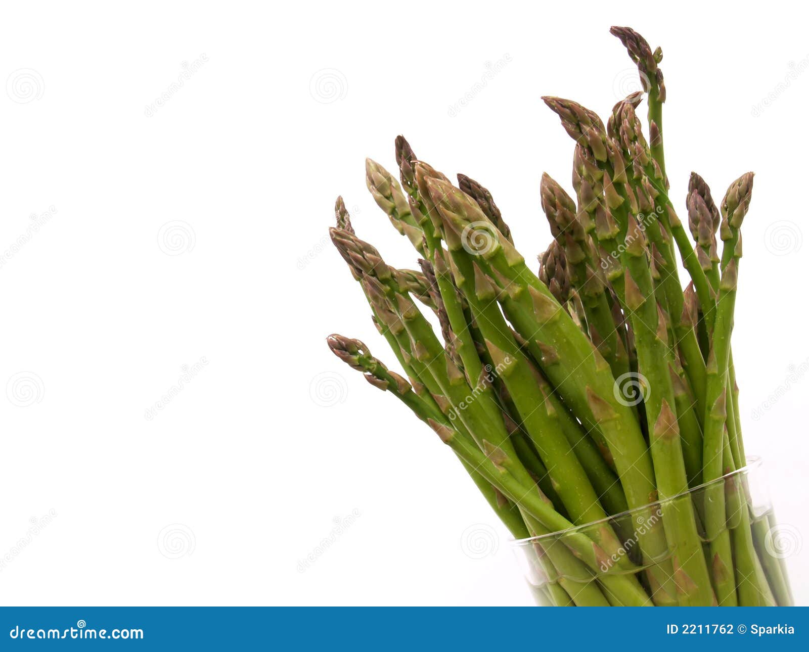 Fresh asparagus stock photo. Image of asparagus, food - 2211762