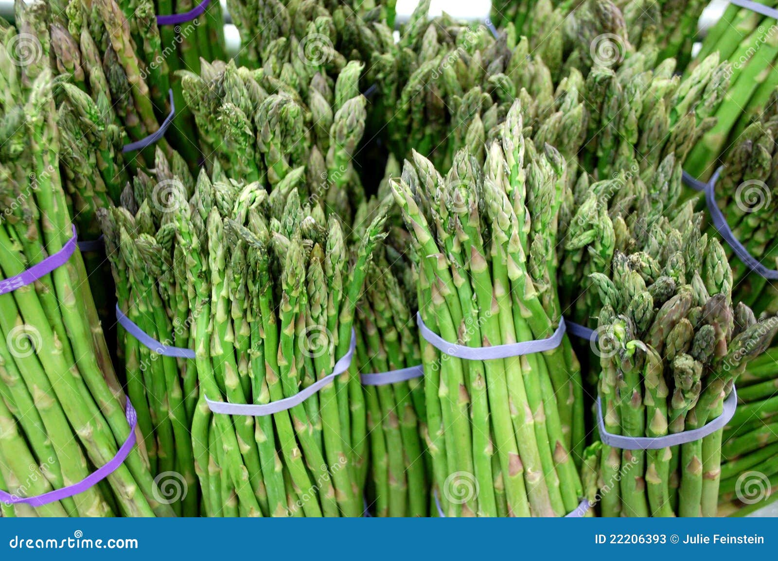 Fresh Asparagus stock image. Image of food, vegetables - 22206393