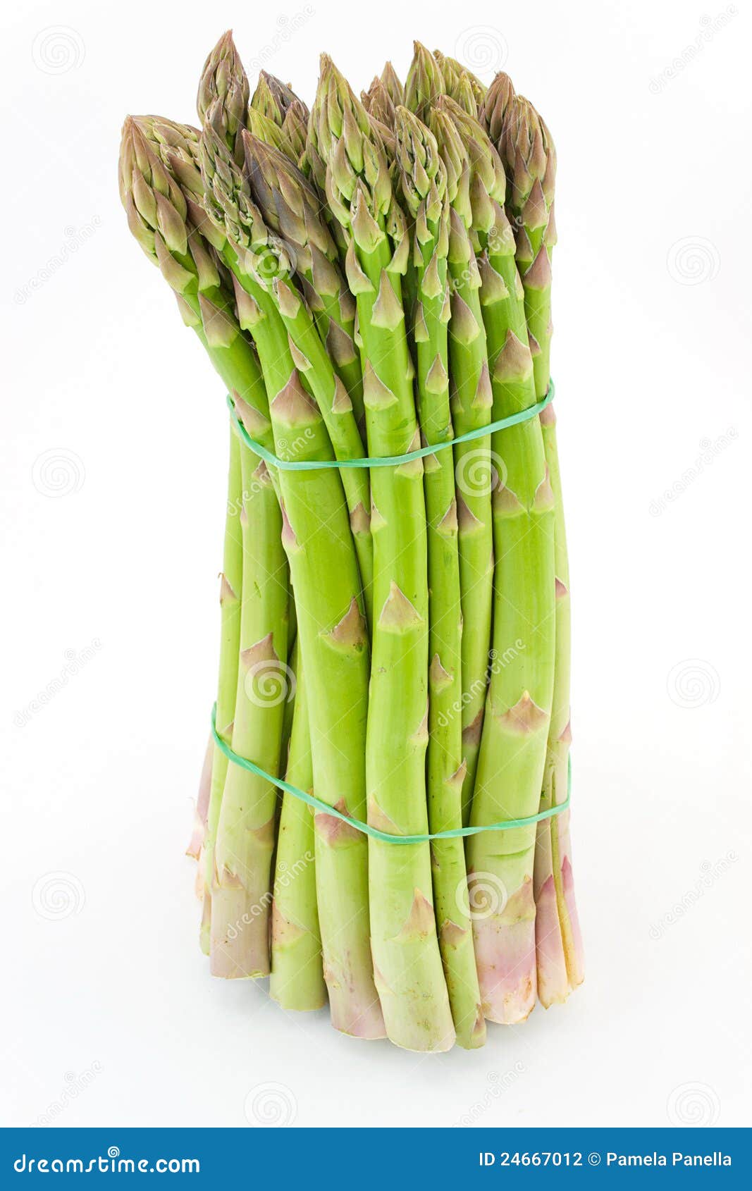 Fresh asparagus stock photo. Image of background, frittata - 24667012