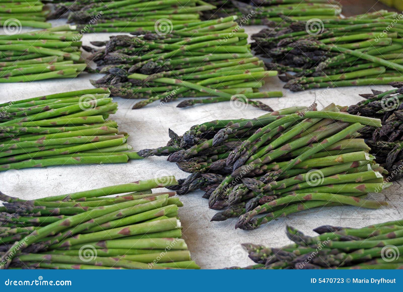 Fresh Asparagus stock image. Image of produce, crisp, bunch - 5470723