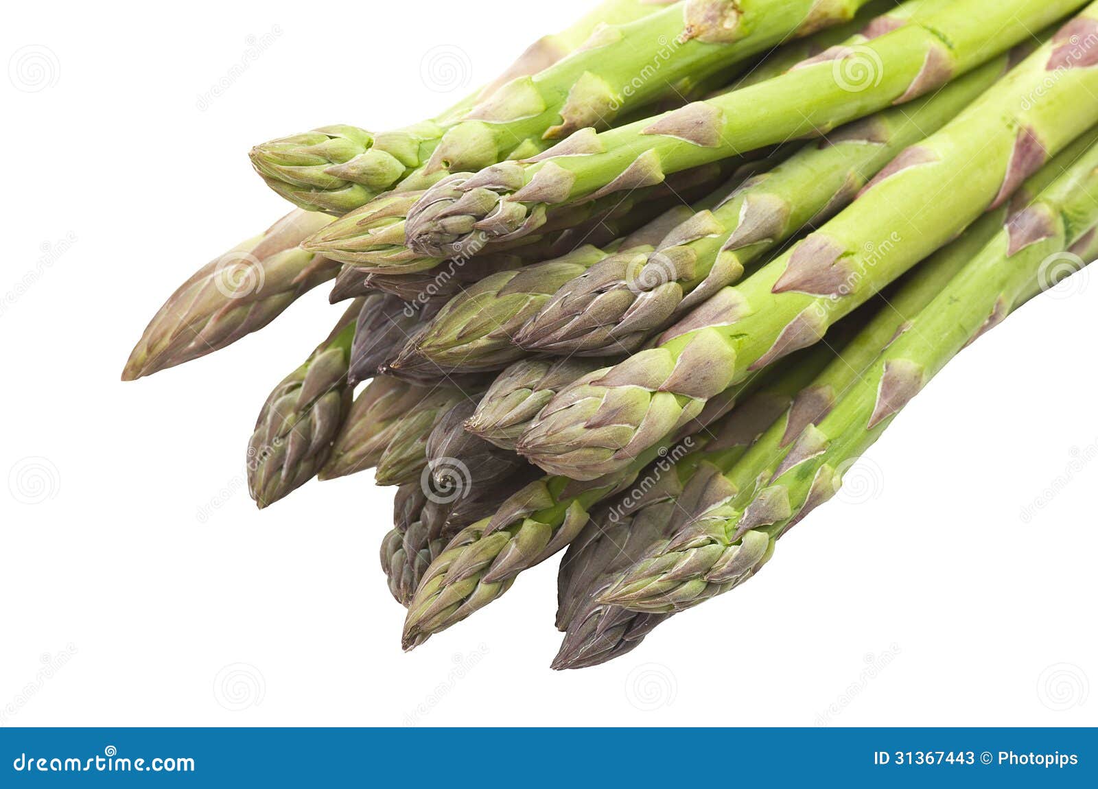 Fresh asparagus stock image. Image of season, fresh, spear - 31367443