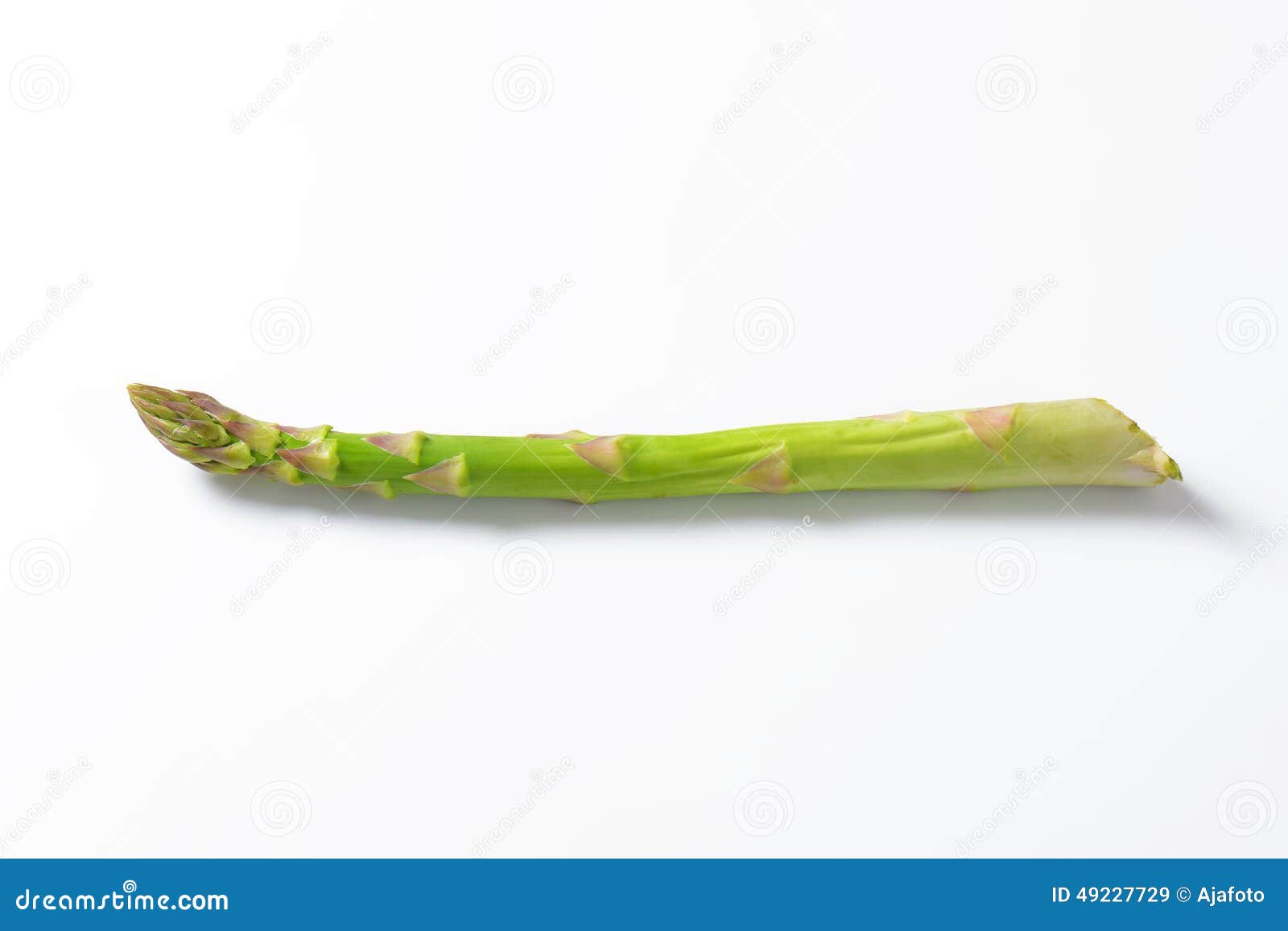 Fresh asparagus stock image. Image of healthy, closeup - 49227729