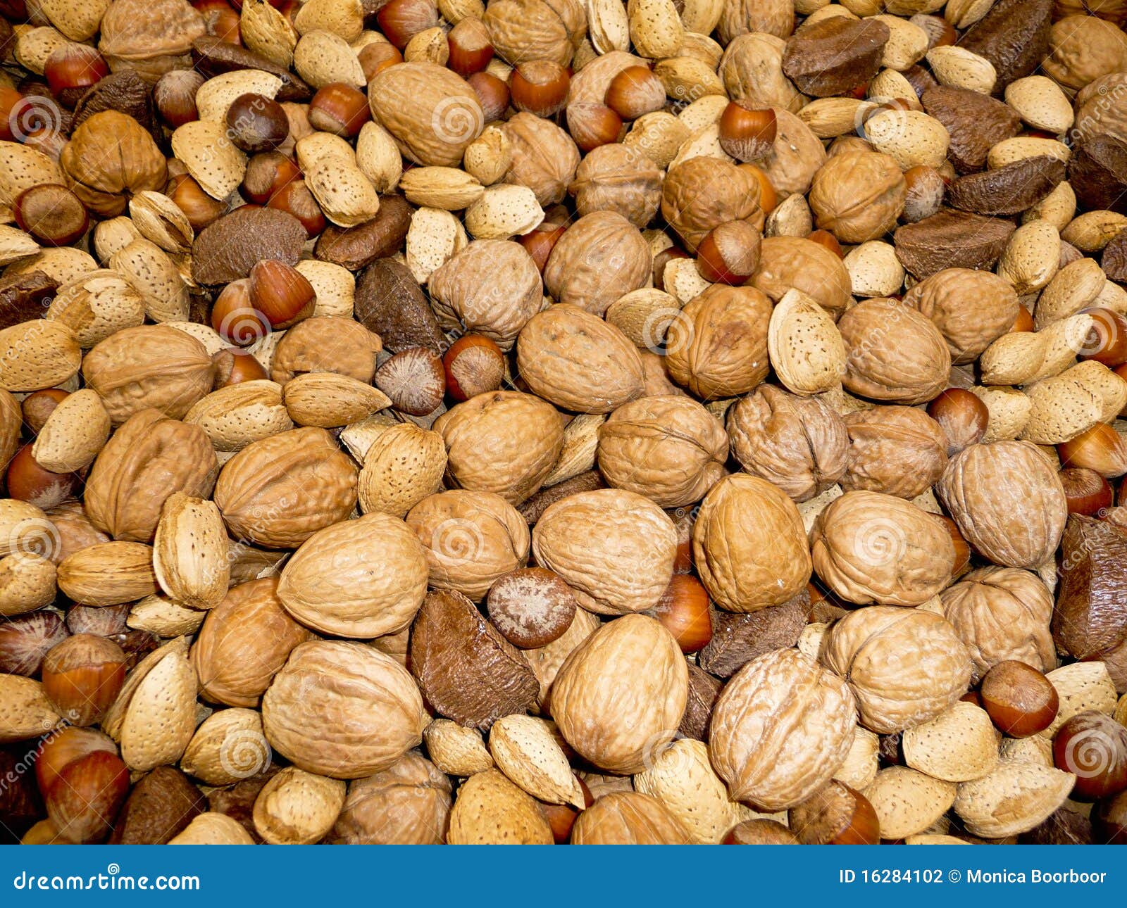 Fresh assortmant of nuts stock photo. Image of fresh - 16284102