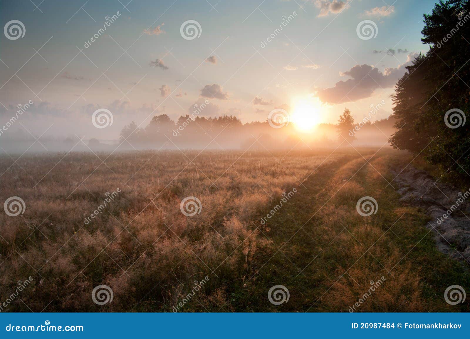 Fresh Atmosphere of the Sunrise Stock Photo - Image of dawn, sunrise ...