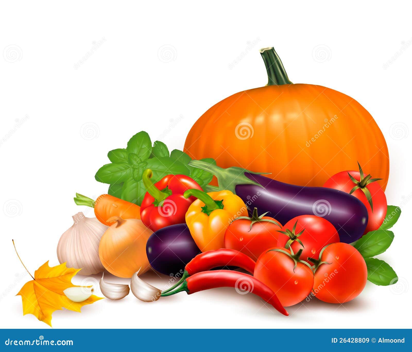 Autumn Vegetable And Leaves Background Cartoon Vector | CartoonDealer ...