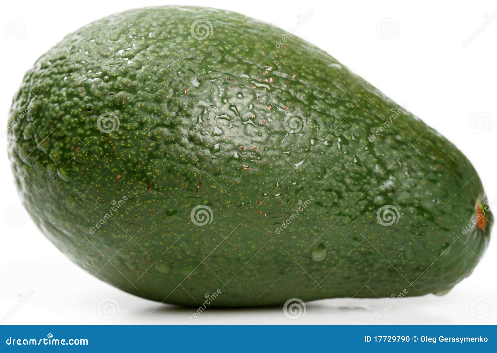 Fresh avocado stock photo. Image of pear, pulp, fresh - 17729790