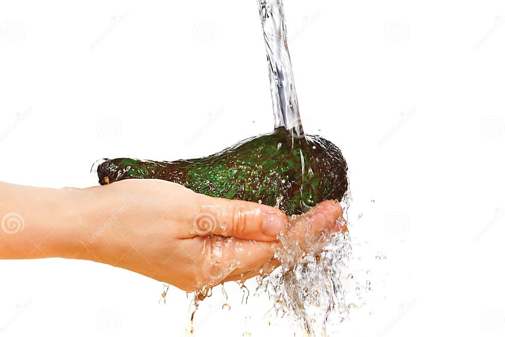 Fresh Avocado in Hand Under Flowing Water Stock Image - Image of ...