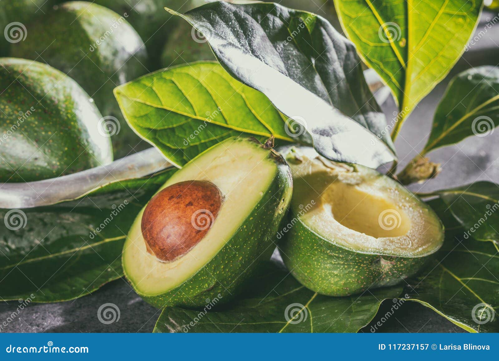 Fresh Avocado with Avocado Tree Leaves. Close Up Stock Image - Image of ...