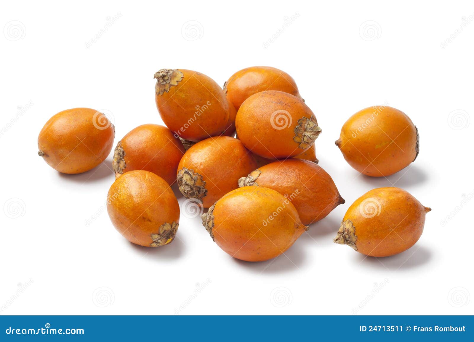 Awarra Stock Photos - Free & Royalty-Free Stock Photos from Dreamstime