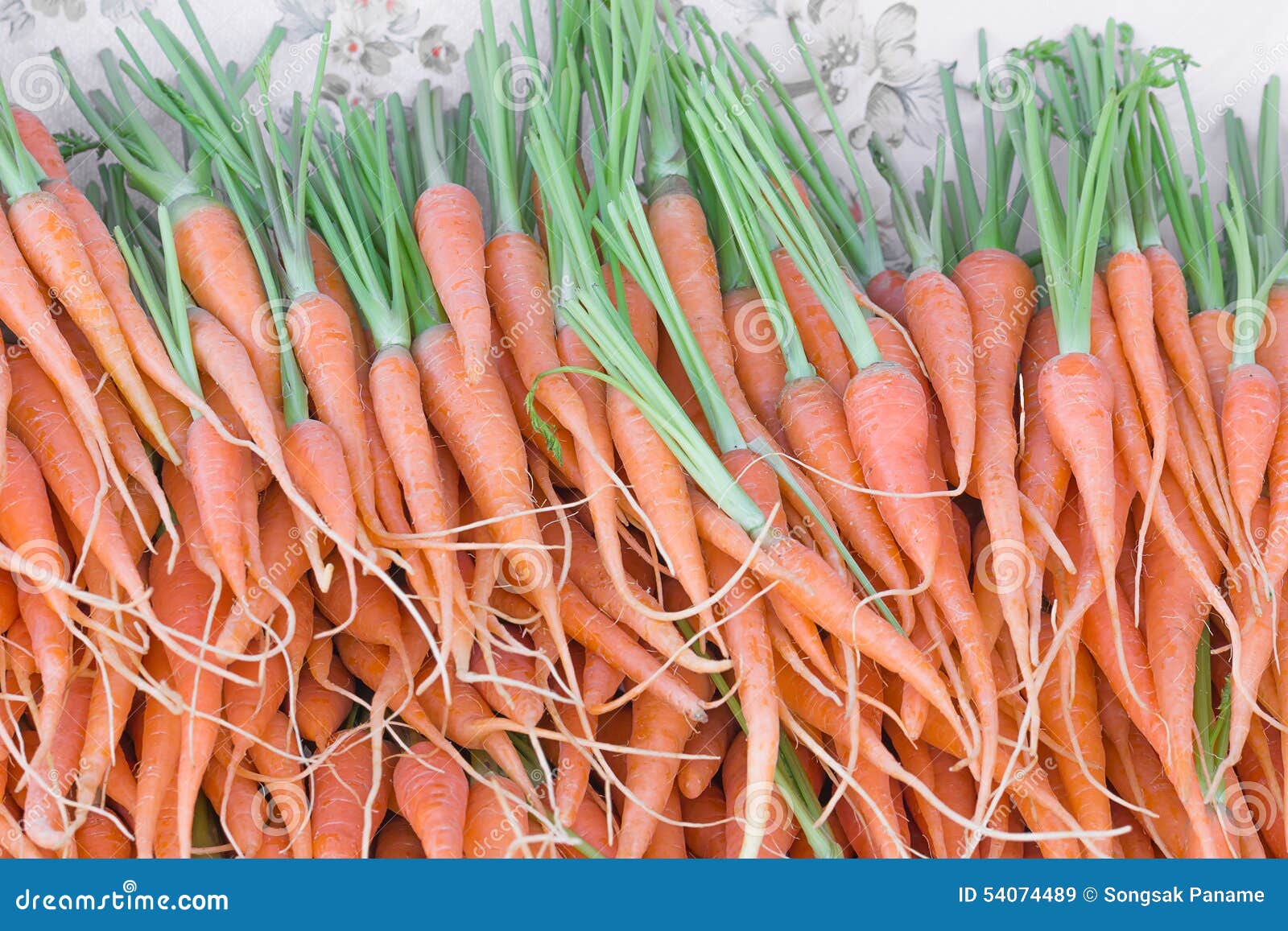 Fresh Baby Carrots Bunch on Sell Stock Image - Image of ingredient ...