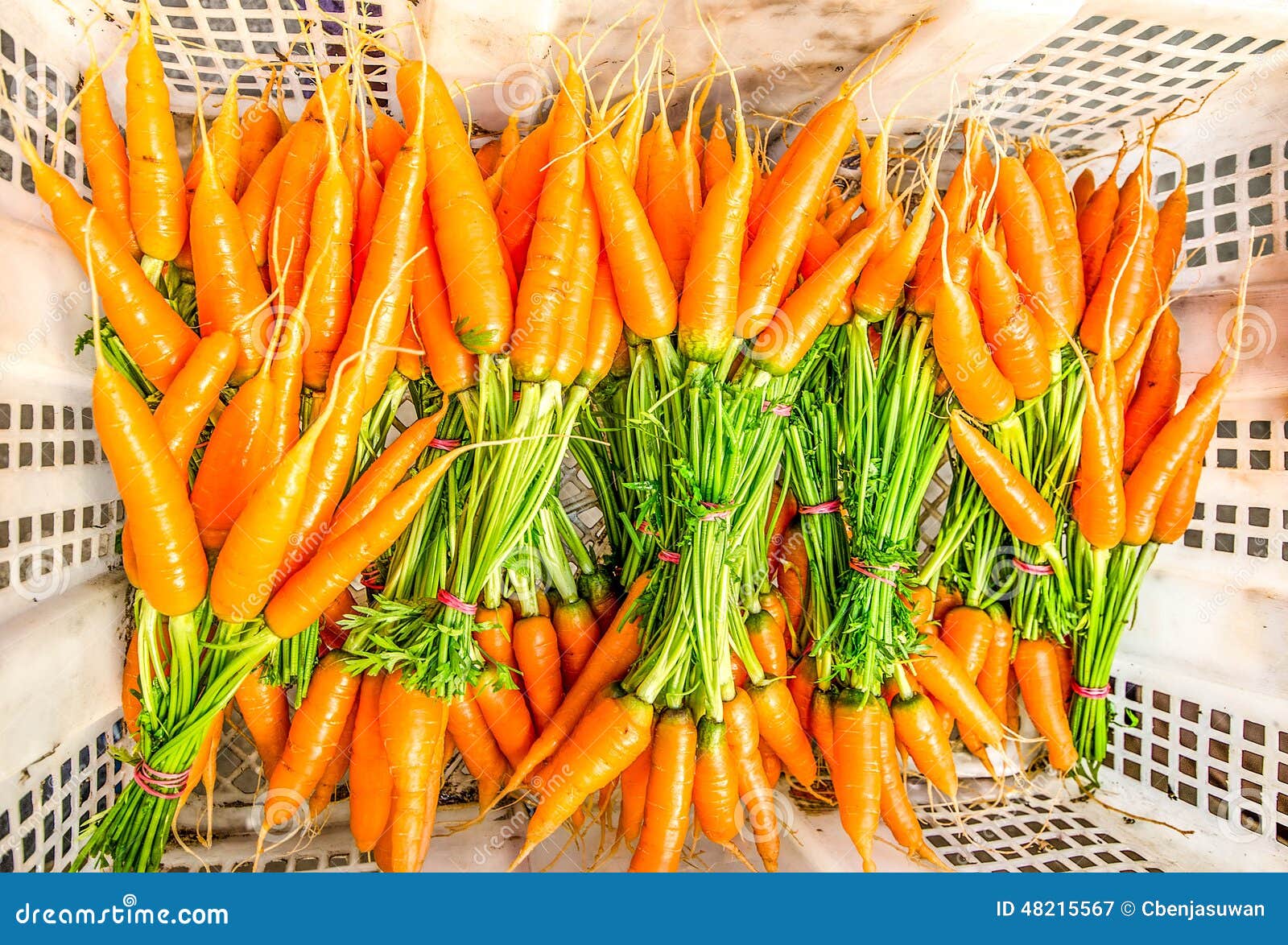 Fresh baby carrots stock image. Image of crunchy, agriculture - 48215567