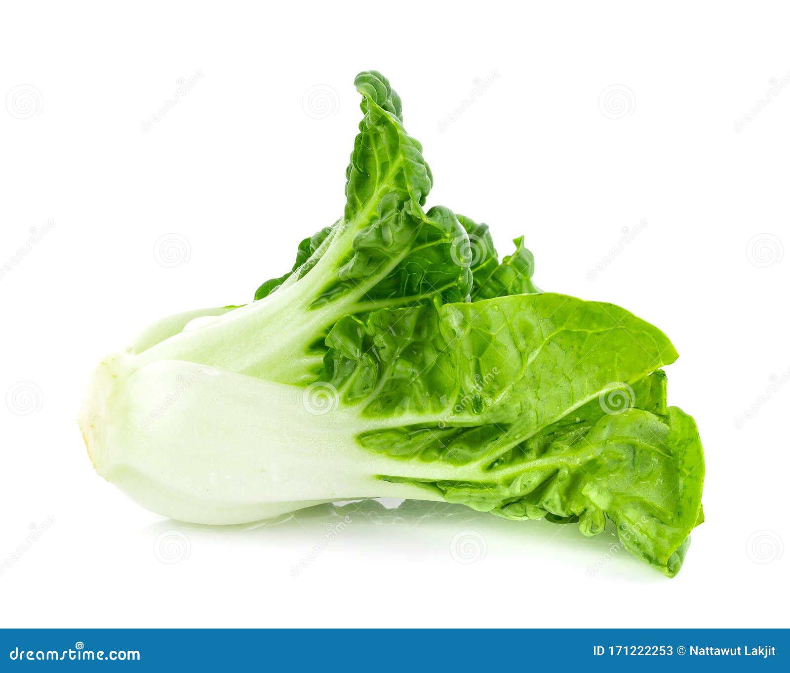 Fresh Baby Chinese Cabbage on White Background Stock Image - Image of ...