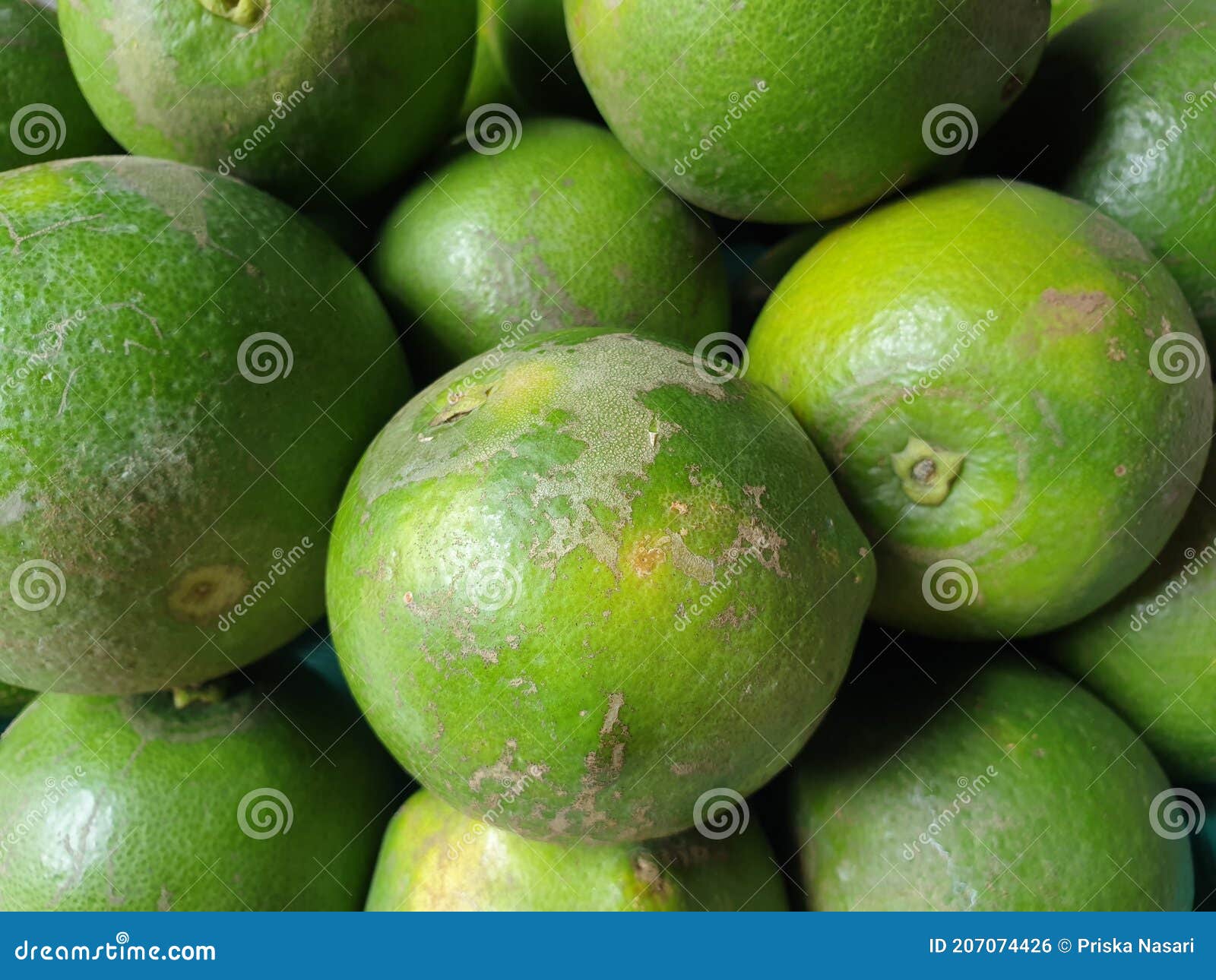 Fresh Baby Java Citrus Fruit Stock Photo - Image of green, baby: 207074426