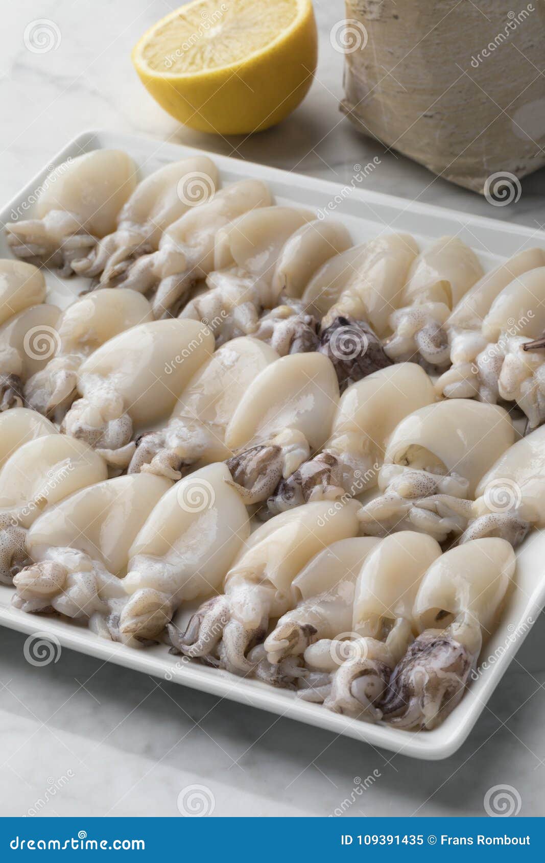 Fresh baby squid on a dish stock image. Image of squid - 109391435