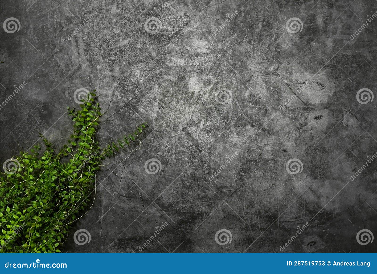 Fresh Background Green Plant Gourmet Backdrop Dinner Wallpaper Stock ...