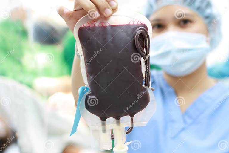 Fresh bag of blood stock image. Image of hospital, professional - 12234673