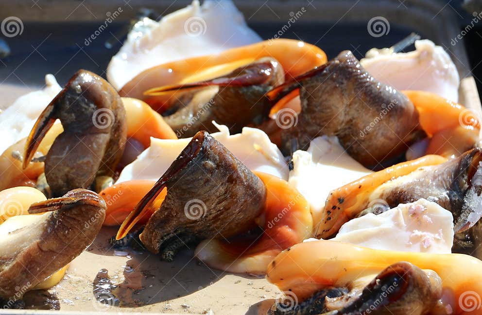 Fresh Bahamian Conch Ceviche Stock Photo - Image of marine, conch: 60509584