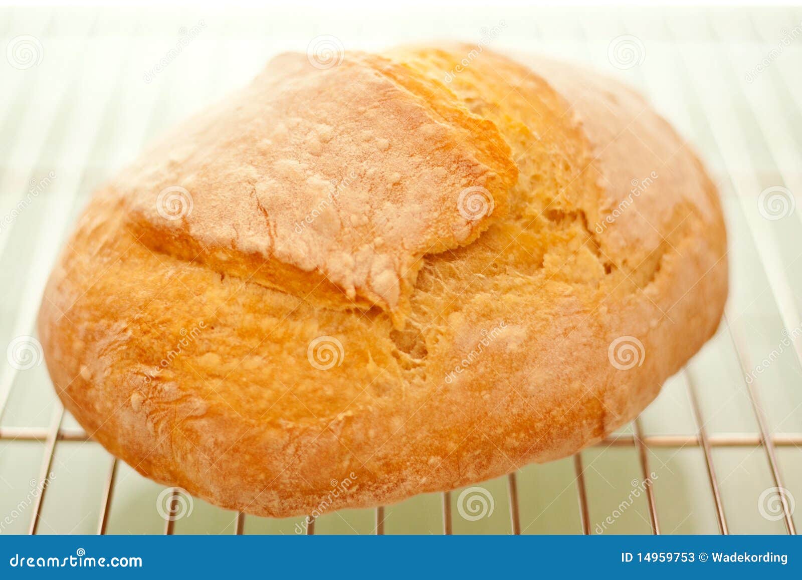 Fresh Baked Bread stock image. Image of gourmet, rack - 14959753