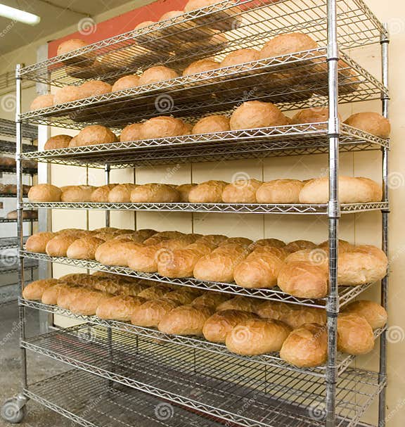 Fresh Baked Bread on Rack stock image. Image of bakery - 3346465