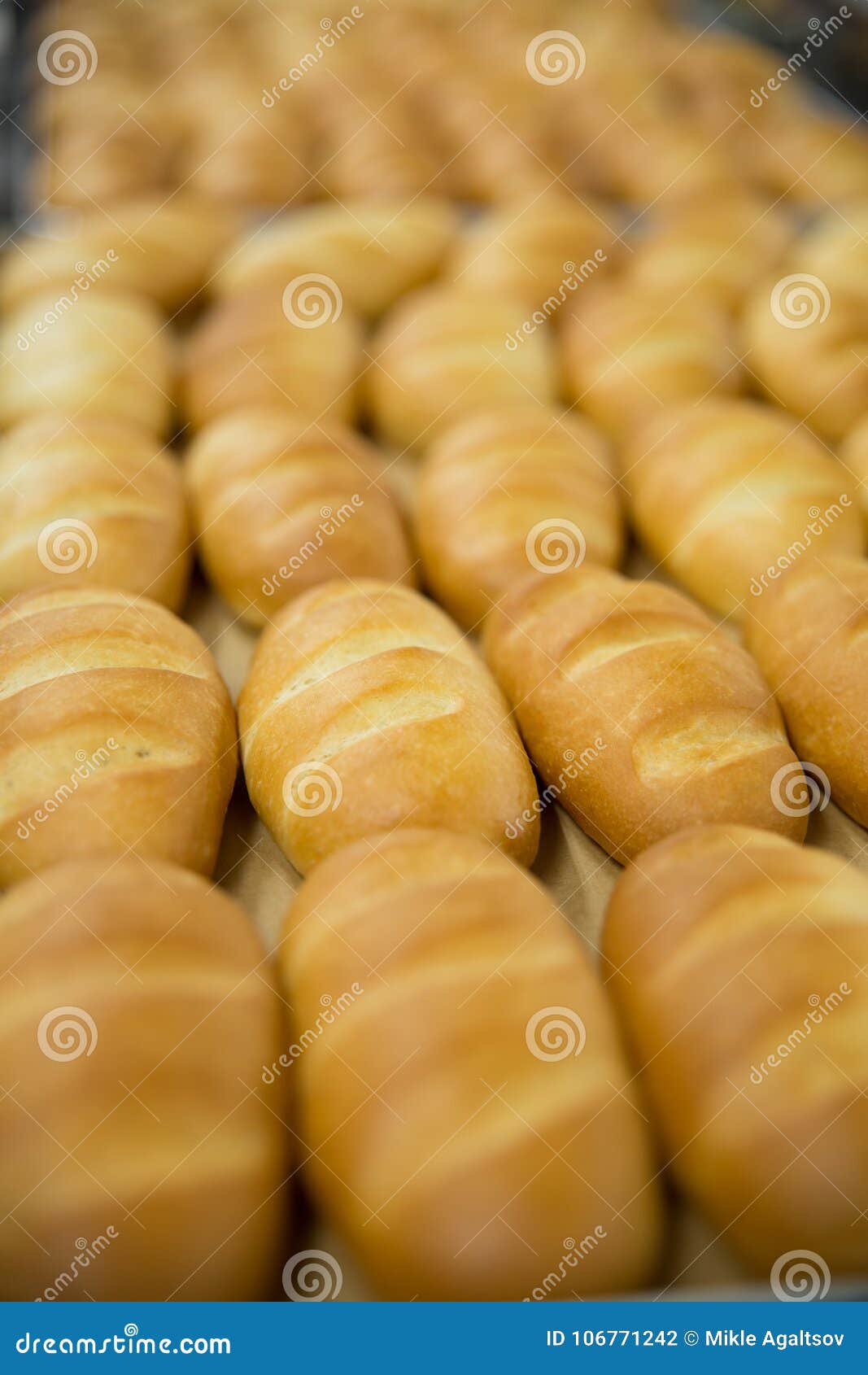 Fresh Baked Bread in Tray Rack in Stack Stock Photo - Image of display ...