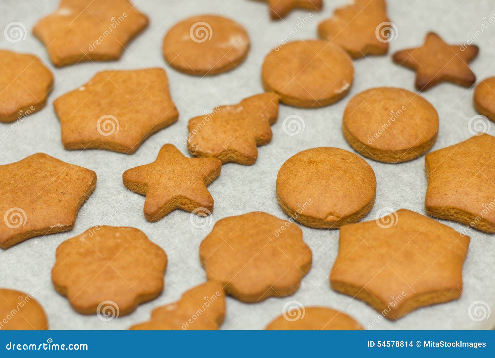 Fresh Baked Gingerbread Cookies Stock Photo - Image of bread, delicious ...
