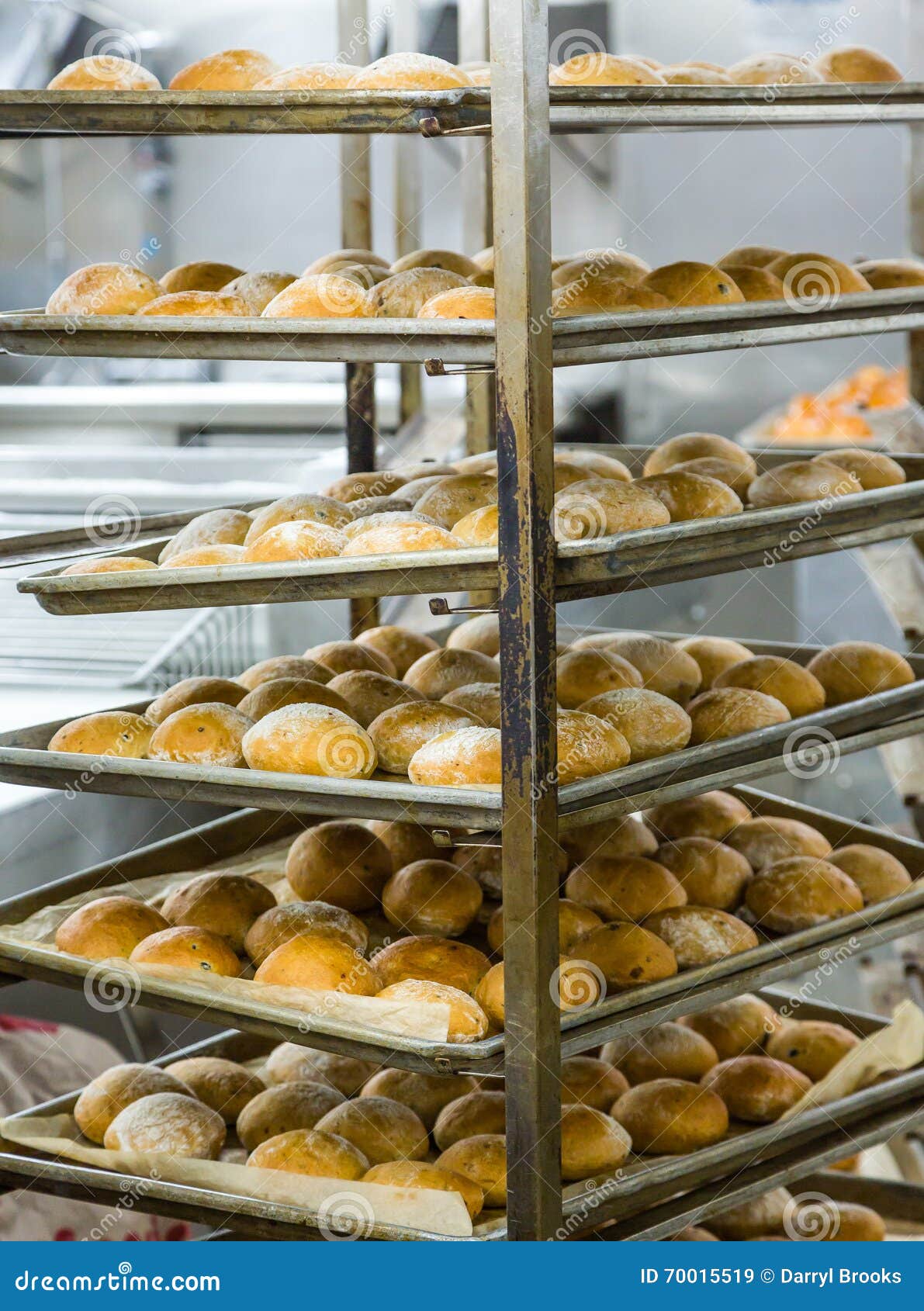 Fresh Baked Loaves in Racks Stock Image - Image of cooking, pastry ...