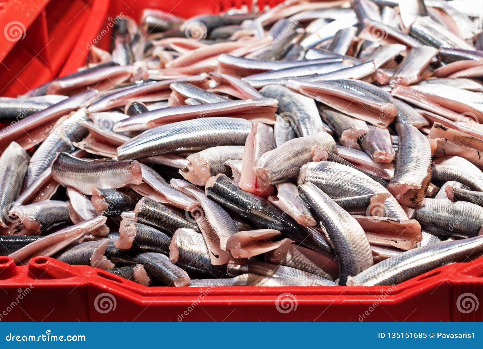 Fresh Baltic Sprats without Their Heads Stock Image - Image of isolated ...