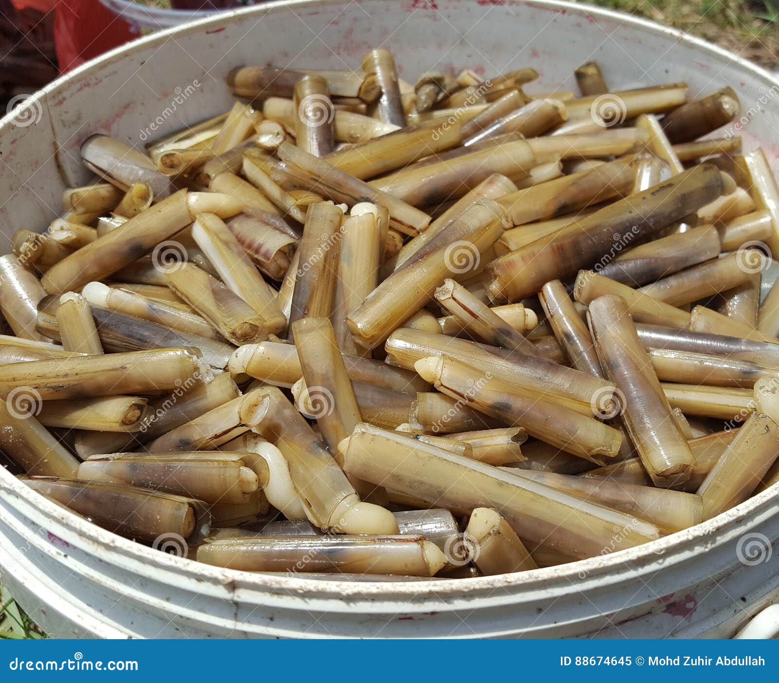 Pepahat Stock Photos - Free & Royalty-Free Stock Photos from Dreamstime