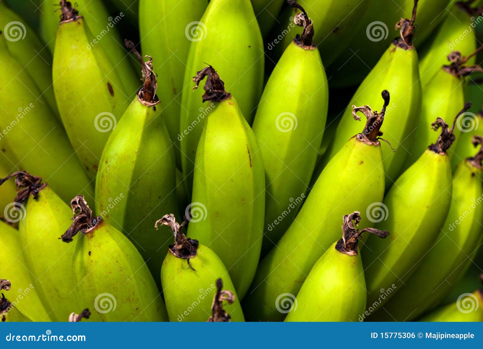 Fresh Banana Round Slice Stock Photo | CartoonDealer.com #111992262