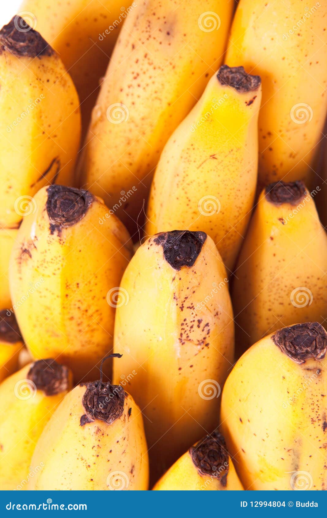 Fresh bananas stock photo. Image of eating, nature, fruit - 12994804