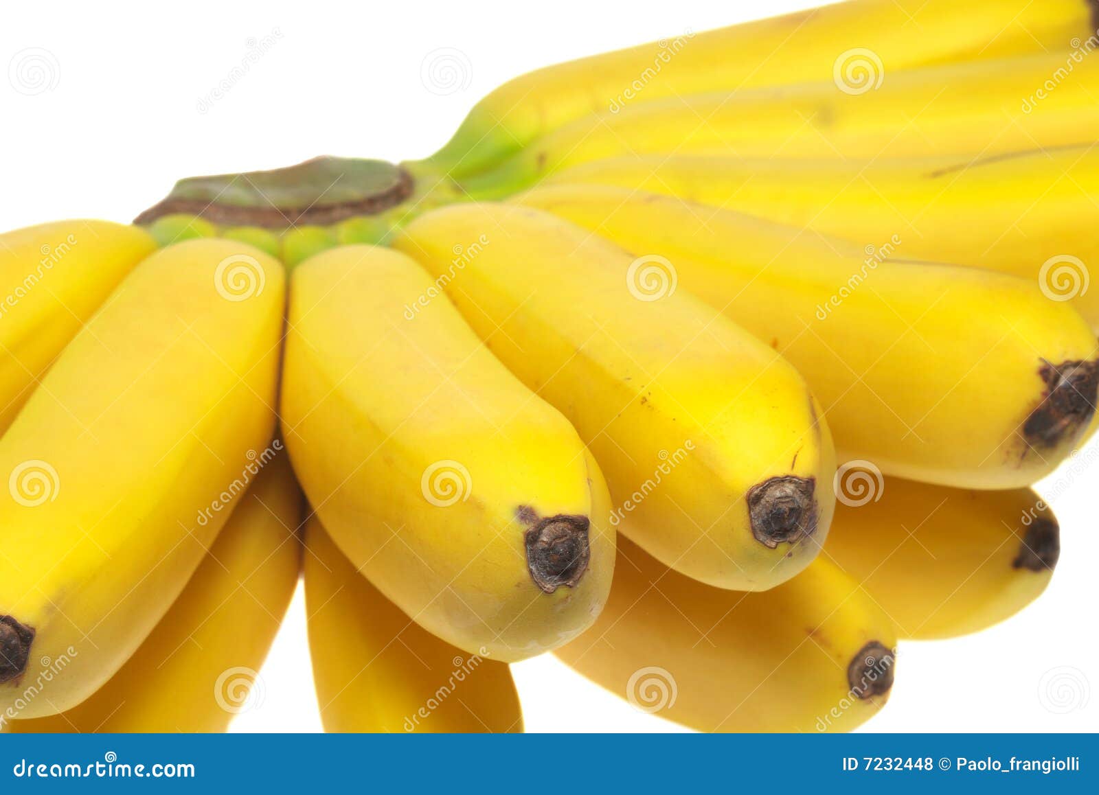 Fresh bananas isolated stock photo. Image of close, still - 7232448