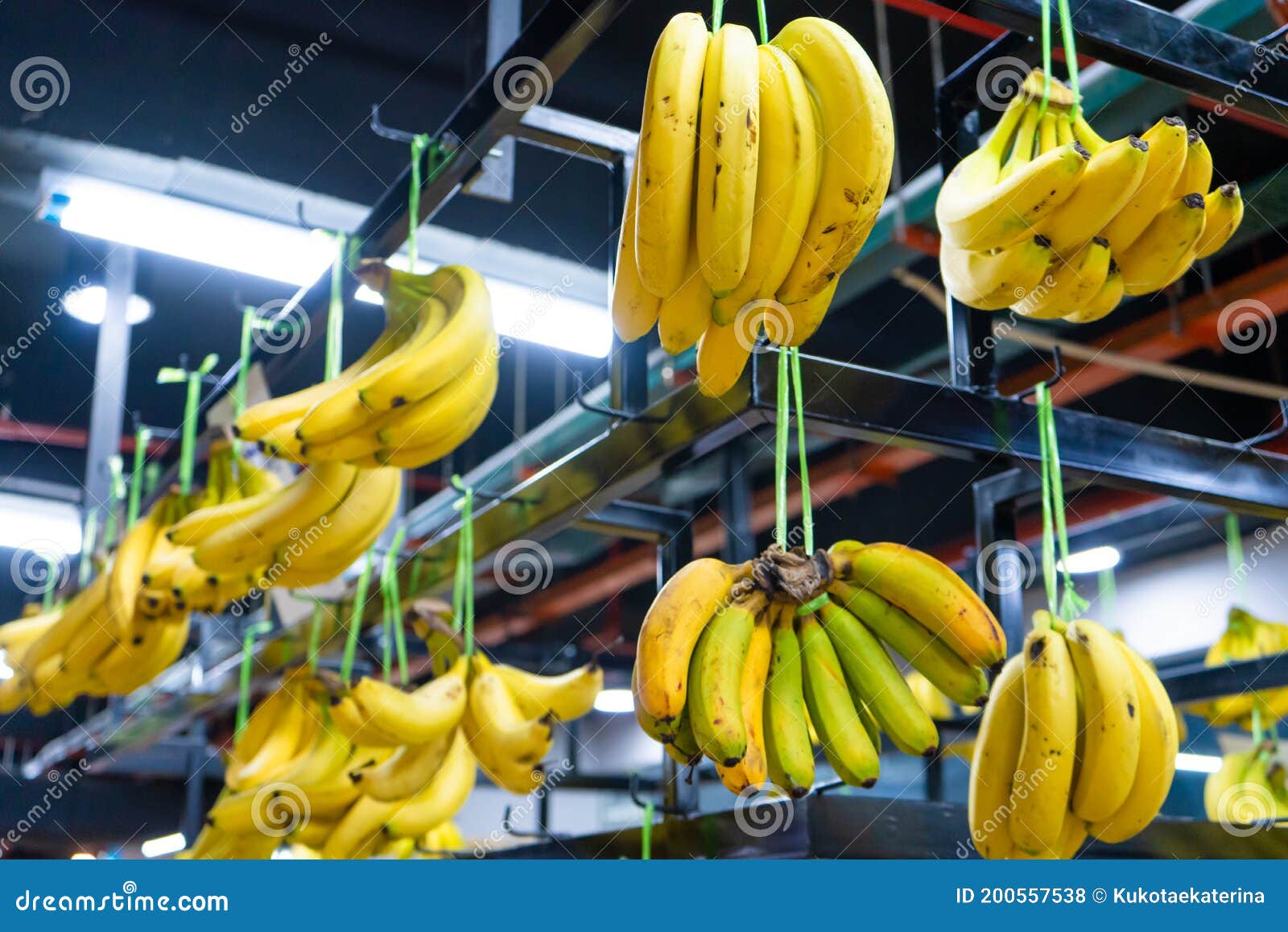 Fresh Bananas in the Vegetable Section of the Grocery Store Stock Photo ...