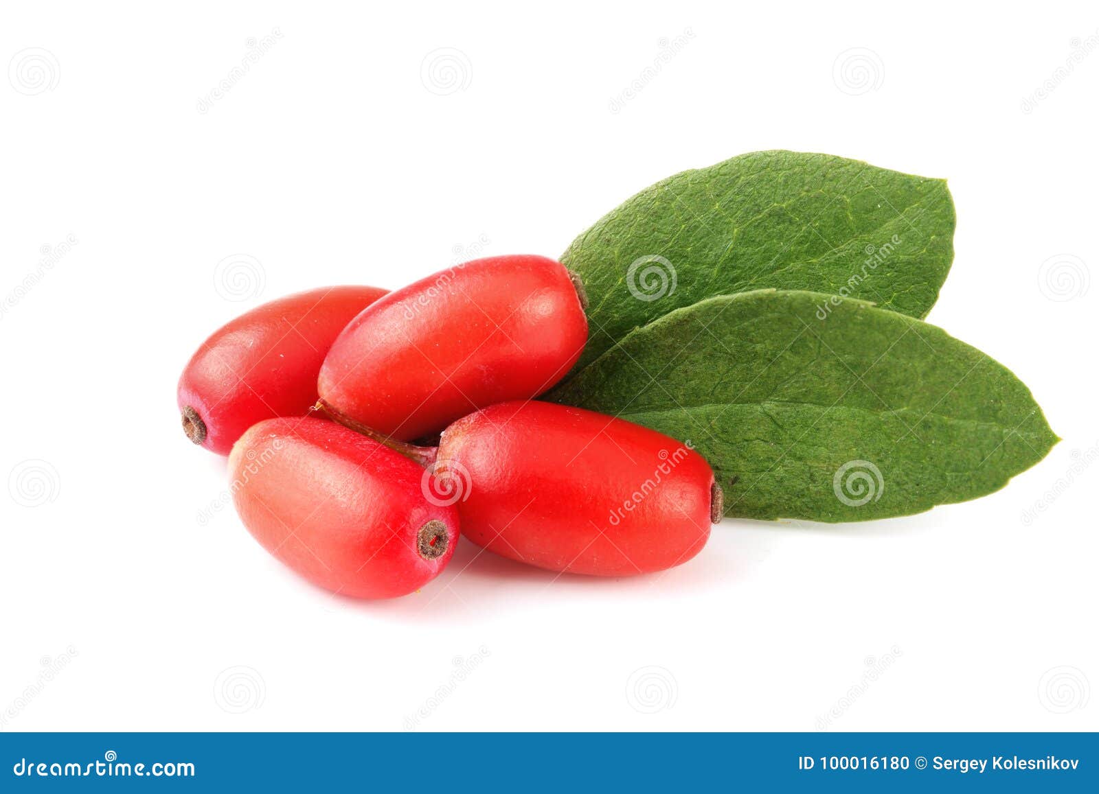 Fresh Barberry with Leaves Isolated on a White Background Stock Photo ...
