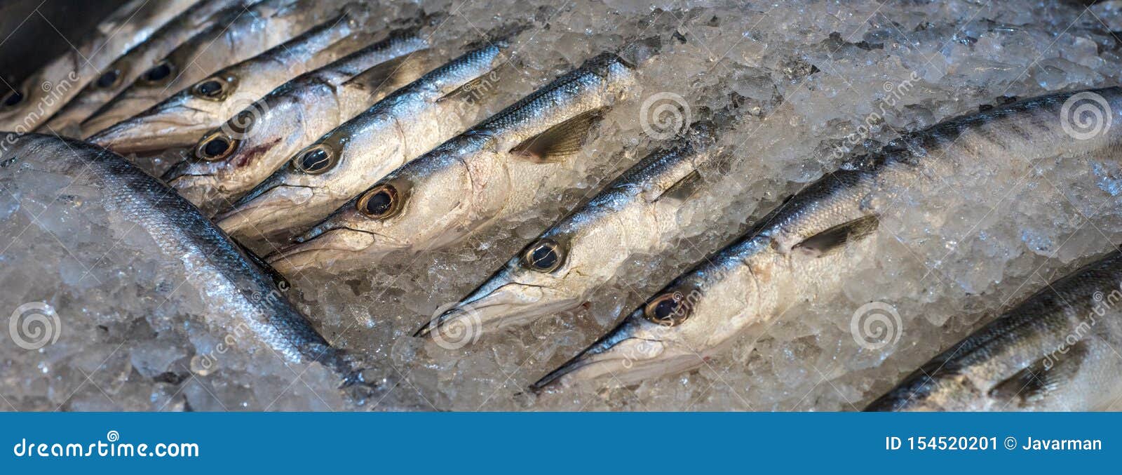 Fresh Barracuda at a Fish Market Stock Image - Image of food, close ...