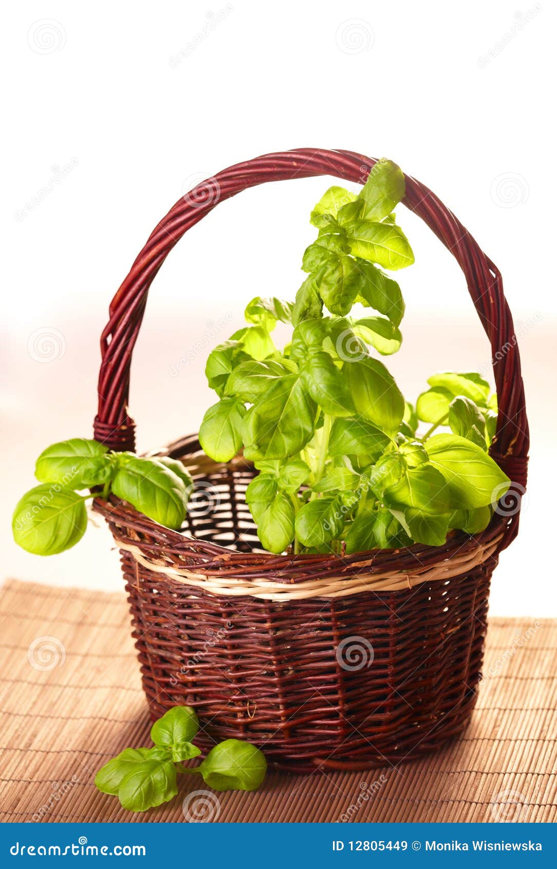 Fresh basil stock image. Image of basket, herb, healthy - 12805449