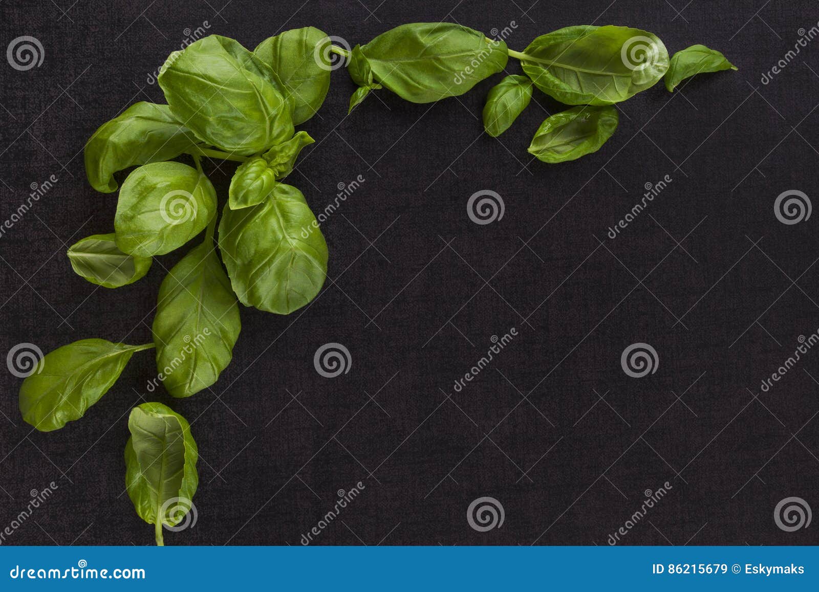 Fresh basil background. stock image. Image of salad, herb - 86215679