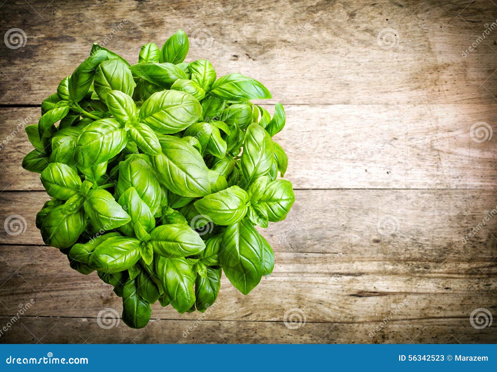 Fresh Basil Bunch on Wooden Table Stock Image - Image of background ...