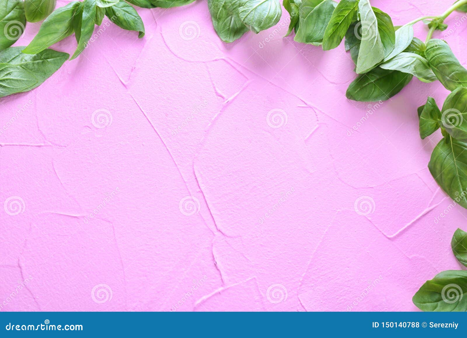 Fresh Basil Leaves on Color Background Stock Photo - Image of healthy ...