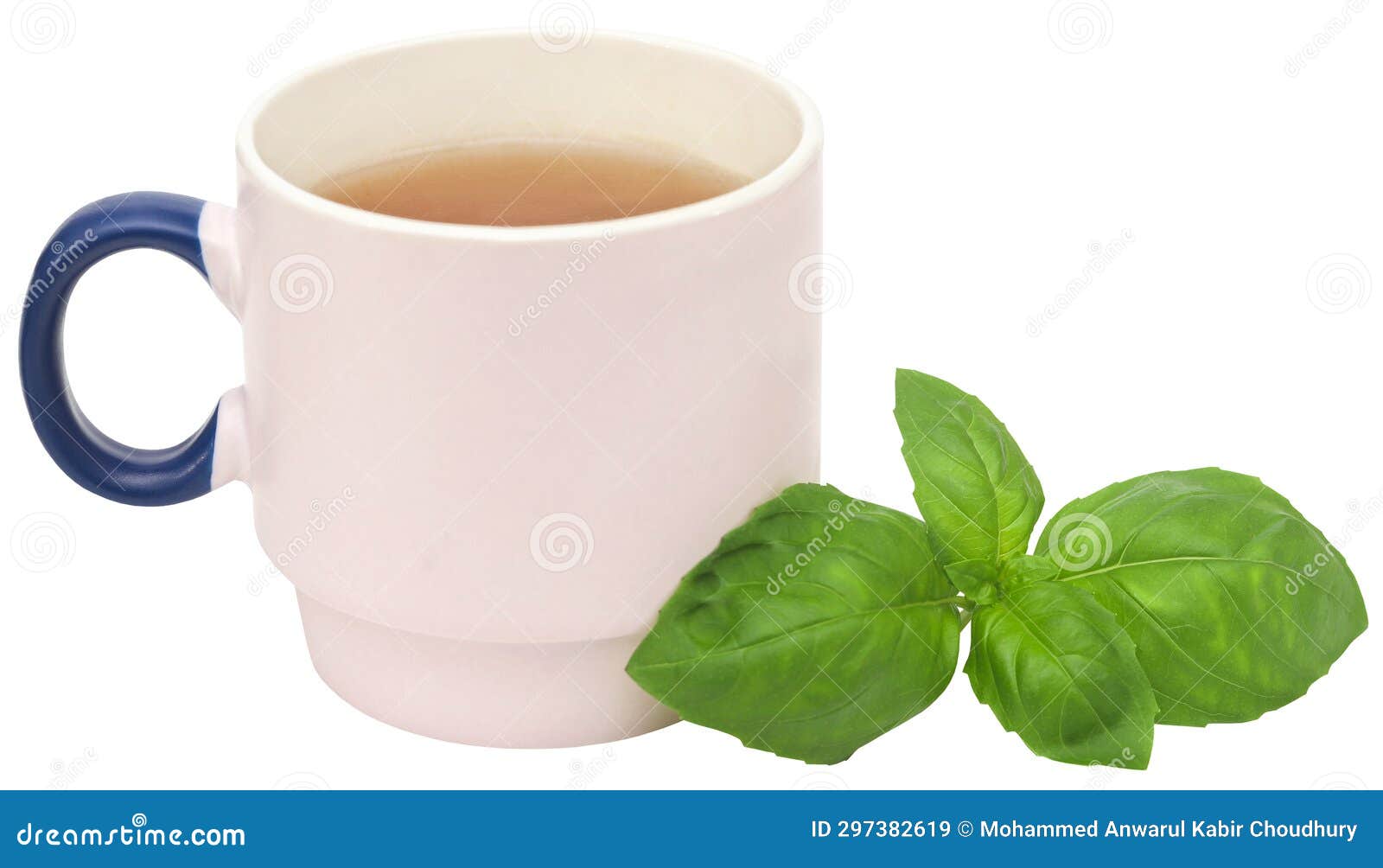 Fresh Basil Leaves with Herbal Tea Stock Image - Image of vegetarian ...