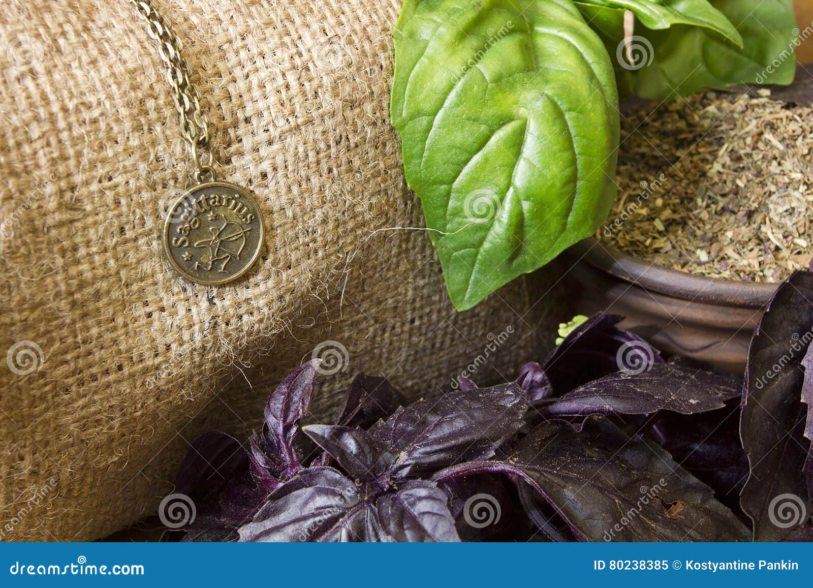 Fresh Basil Leaves and a Sign of the Zodiac Stock Image - Image of ...