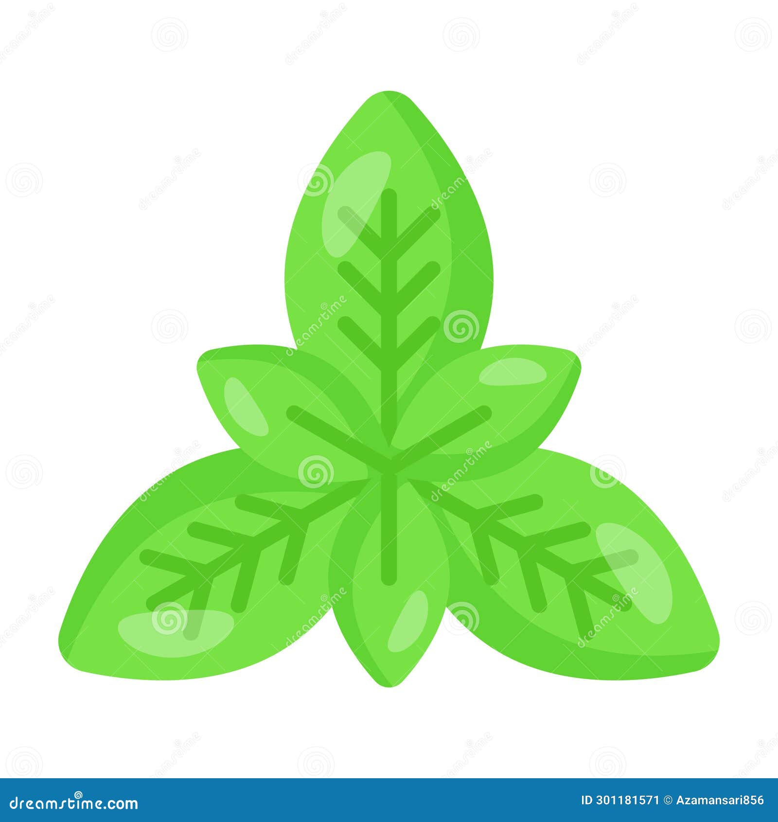 Fresh Basil Leaves Vector Design, Isolated on White Background Stock ...