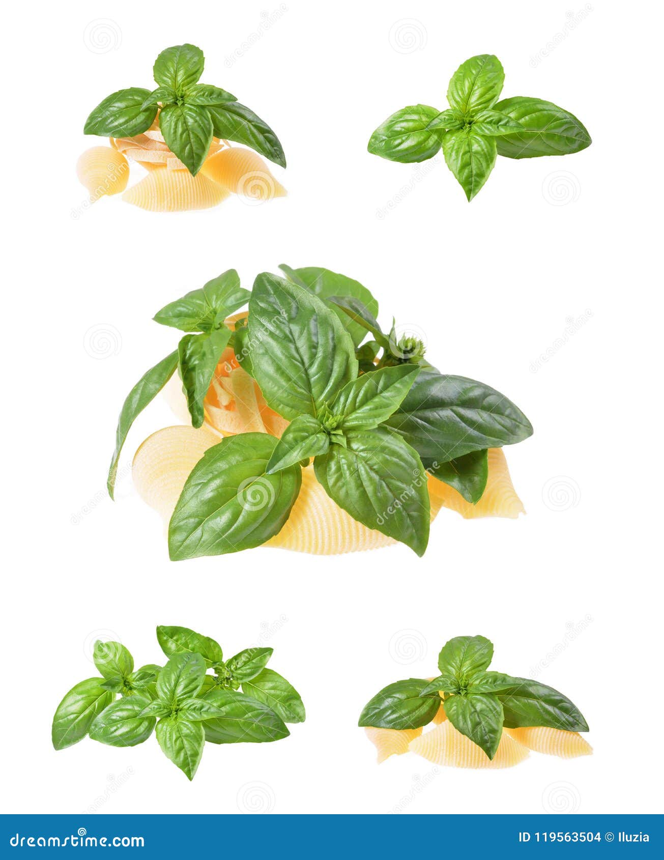 Fresh Basil on Pasta, Isolated Stock Photo - Image of recipe, culinary ...