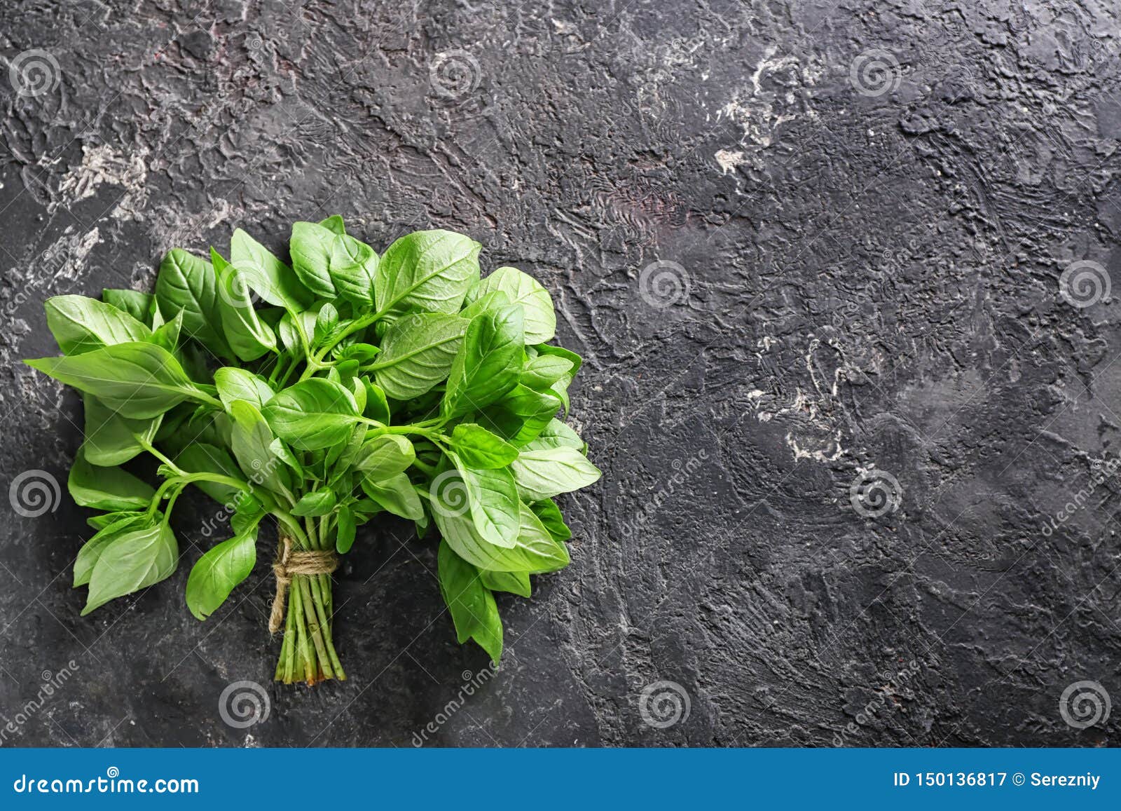 Fresh Basil on Textured Background Stock Image - Image of fresh, leaves ...