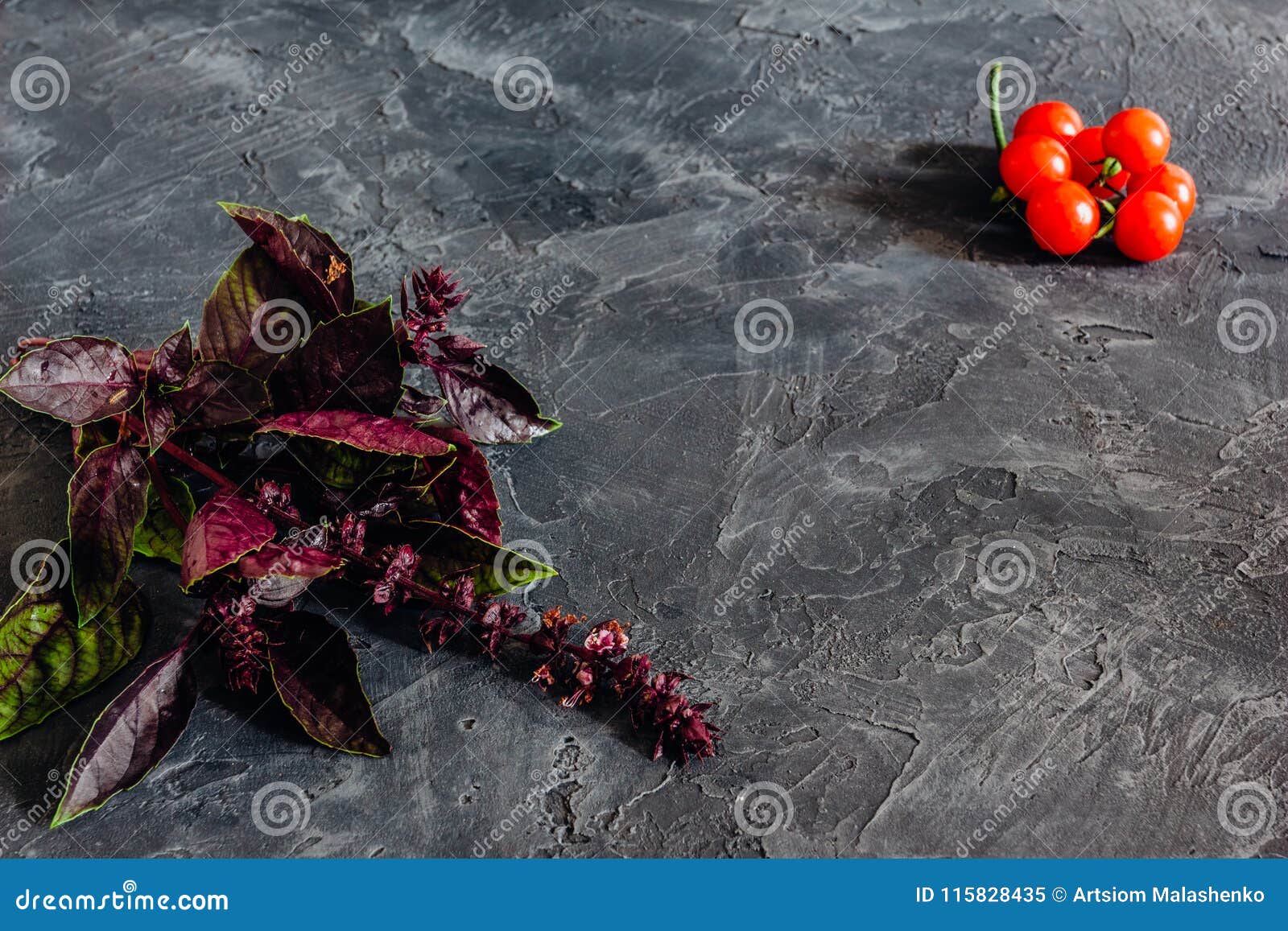 Basil with Cherry Tomatoes on a Concrete Texture Stock Image - Image of ...